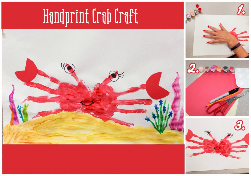 Ocean Animal Crafts