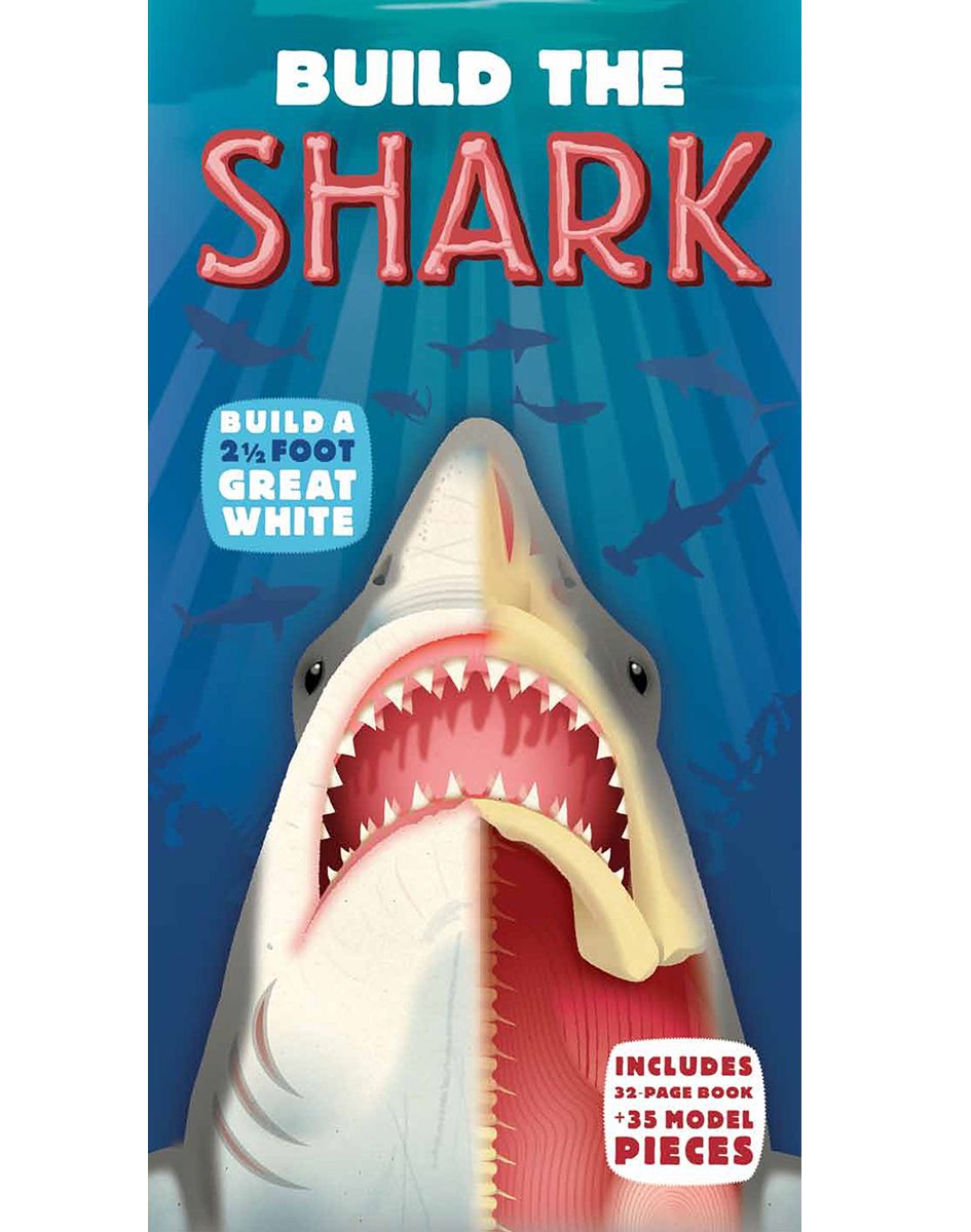 5 New Releases To Pack In When School S Out Silver Dolphin Books