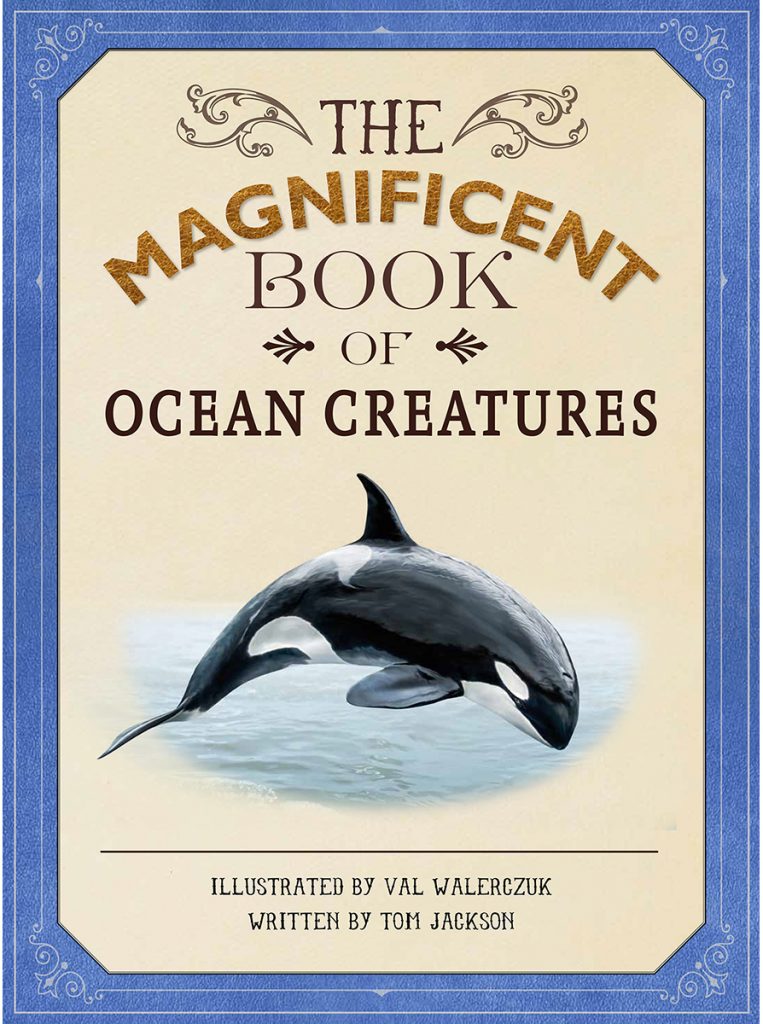 Dive Into Our Ocean Books! - Silver Dolphin Books