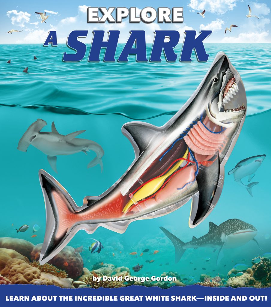 Dive Into These Fin-Tastic Shark Books! - Silver Dolphin Books