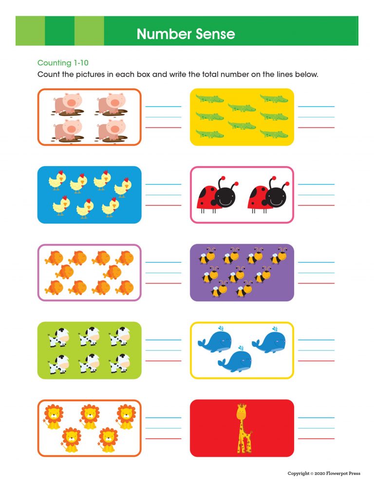 Ready to Learn: First Grade Workbook Activity Pages - Silver Dolphin Books