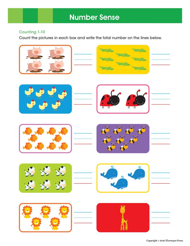 Ready to Learn: First Grade Workbook Activity Pages - Silver Dolphin Books