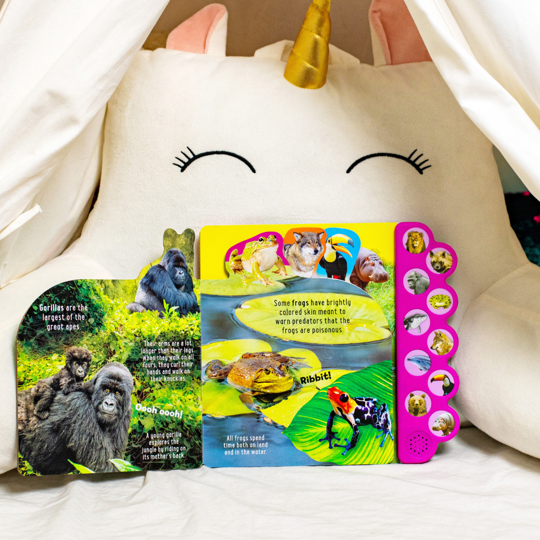 About Silver Dolphin Books | Educational Books for Kids | Activity Books