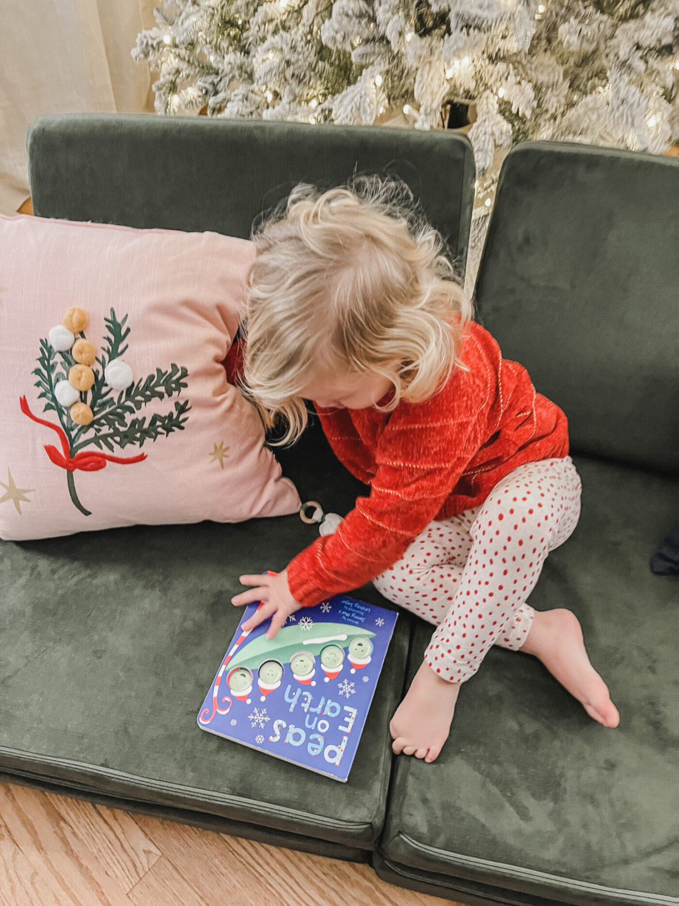 4 Adorable Christmas Board Books - Silver Dolphin Books