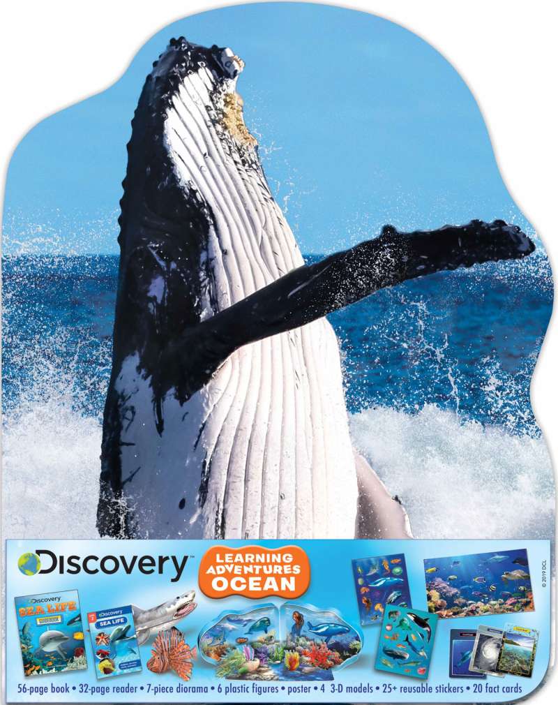 Water World: 6 Books to Celebrate Our Oceans - Silver Dolphin Books