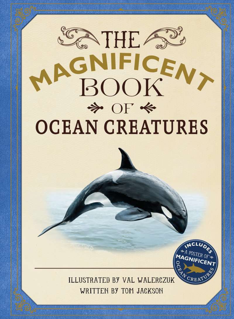 Water World: 6 Books to Celebrate Our Oceans - Silver Dolphin Books